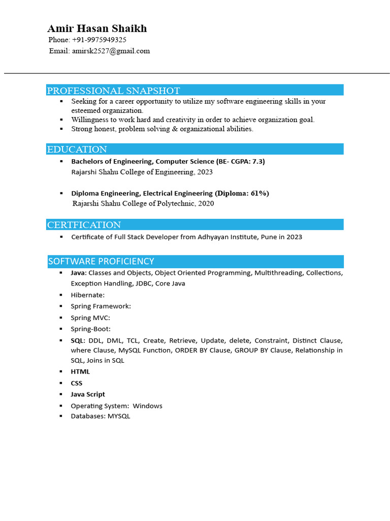 Amir - Resume BE-2023 - 1 | PDF