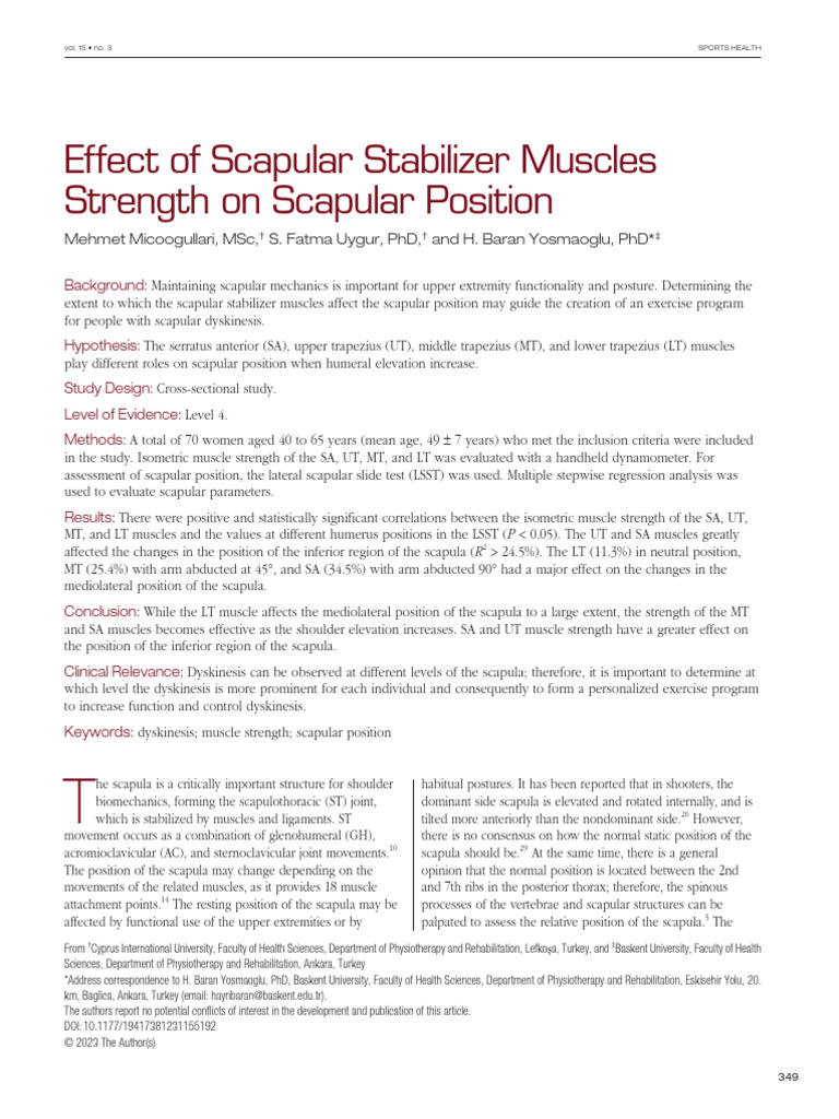 Scapular Stabilizer Muscles and Position | PDF | Shoulder | Anatomical ...