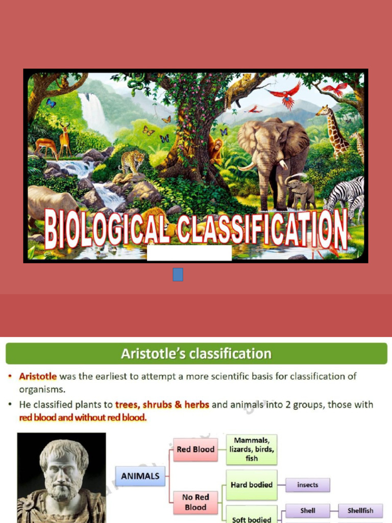 2 Biological Classification | PDF