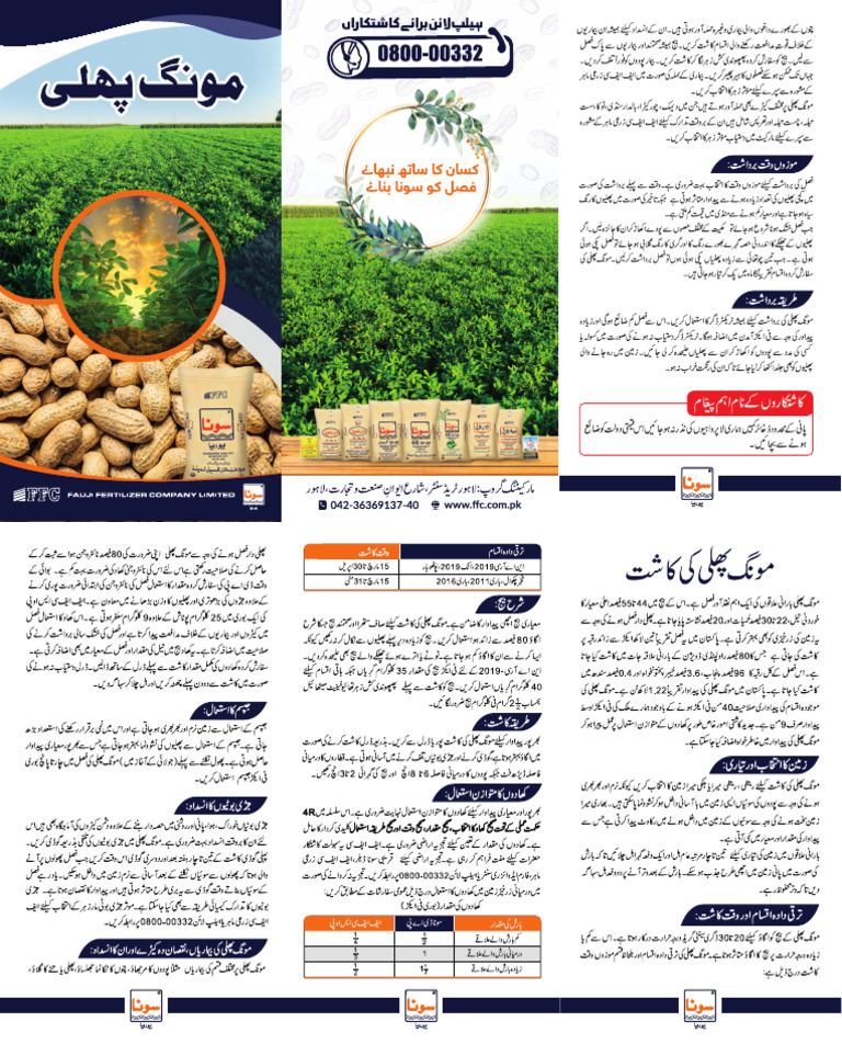 Groundnut | PDF