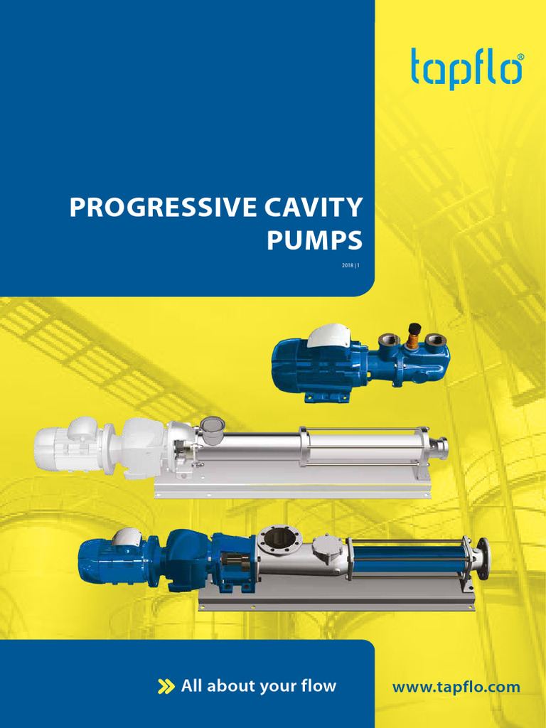 Evaluating Tapflo's Progressive Cavity Pumps | PDF | Pump | Mechanical ...