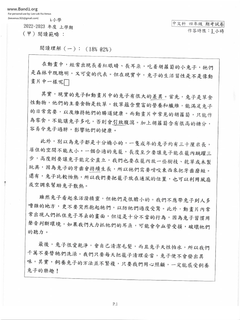 Primary 4 Chinese Comprehension | PDF