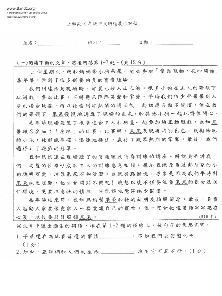 Primary 4 Chinese Test | PDF