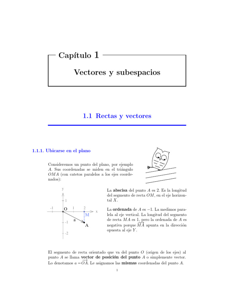 algebra lineal | PDF | Espacio vectorial | Vector Euclidiano