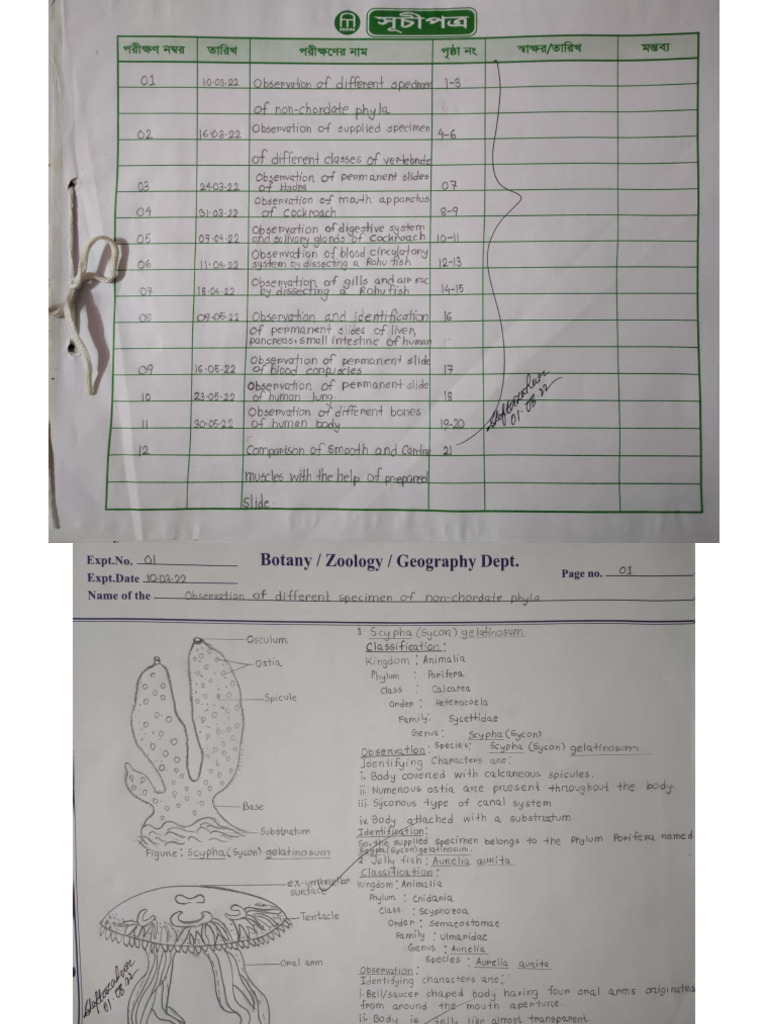 Bio-2nd Practical (Tasfia Chowdhury) | PDF