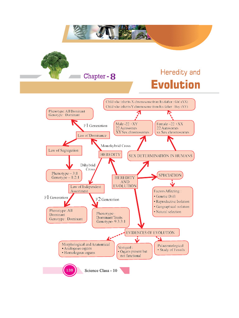 std10 Science ch8 Eng SM 2024-25 | PDF