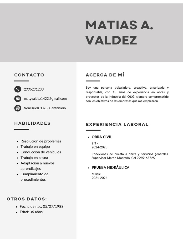 CV Valdez Matias. Oficial | PDF
