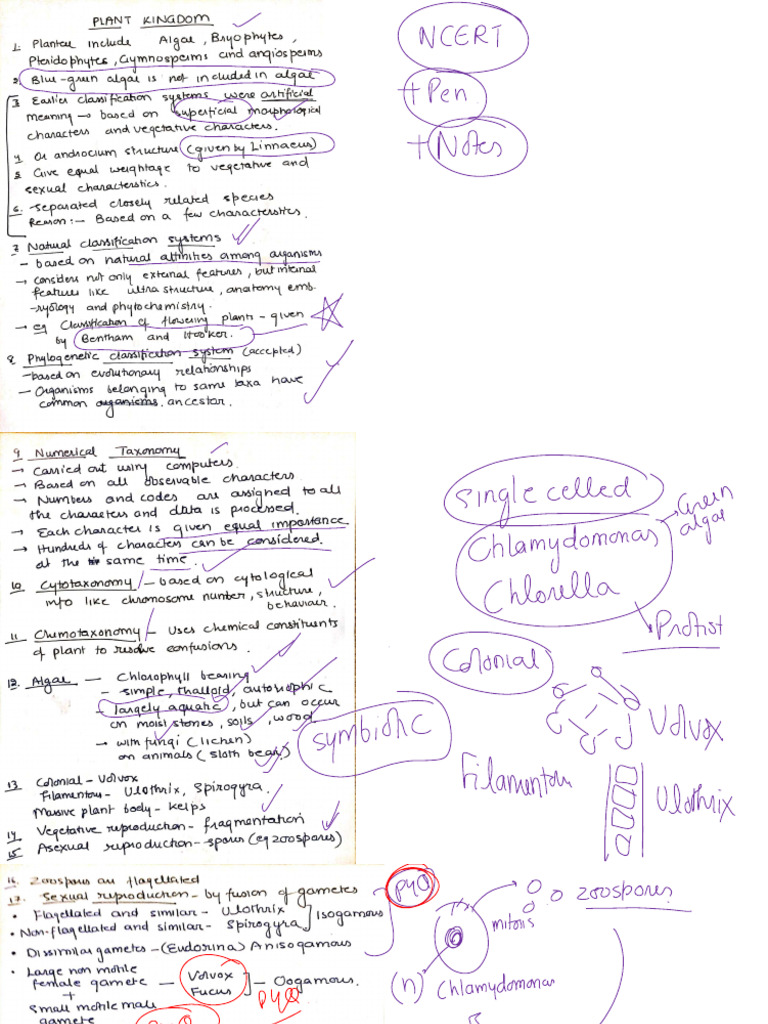 Plant Kingdom Compressed | PDF | Branches Of Botany | Horticultural Techniques