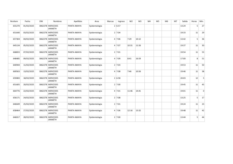 Panta Amaya - Febrero 2025 | PDF