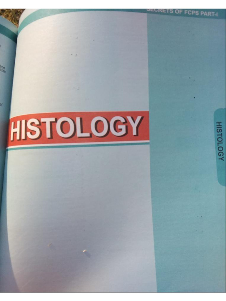 Histo Mcqs From Rabia | PDF