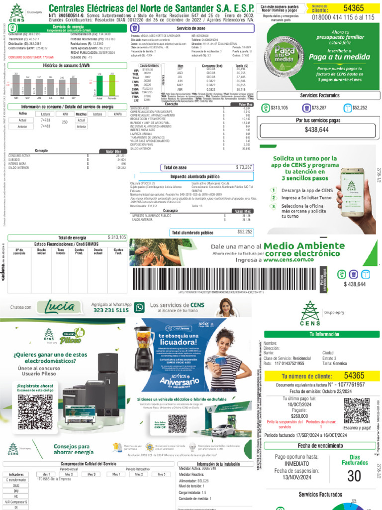 Pago y Recibo de Factura CENS | PDF