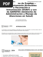 Manual de Vigilancia de ESAVI 2021 | PDF | Vigilancia | Vacunas