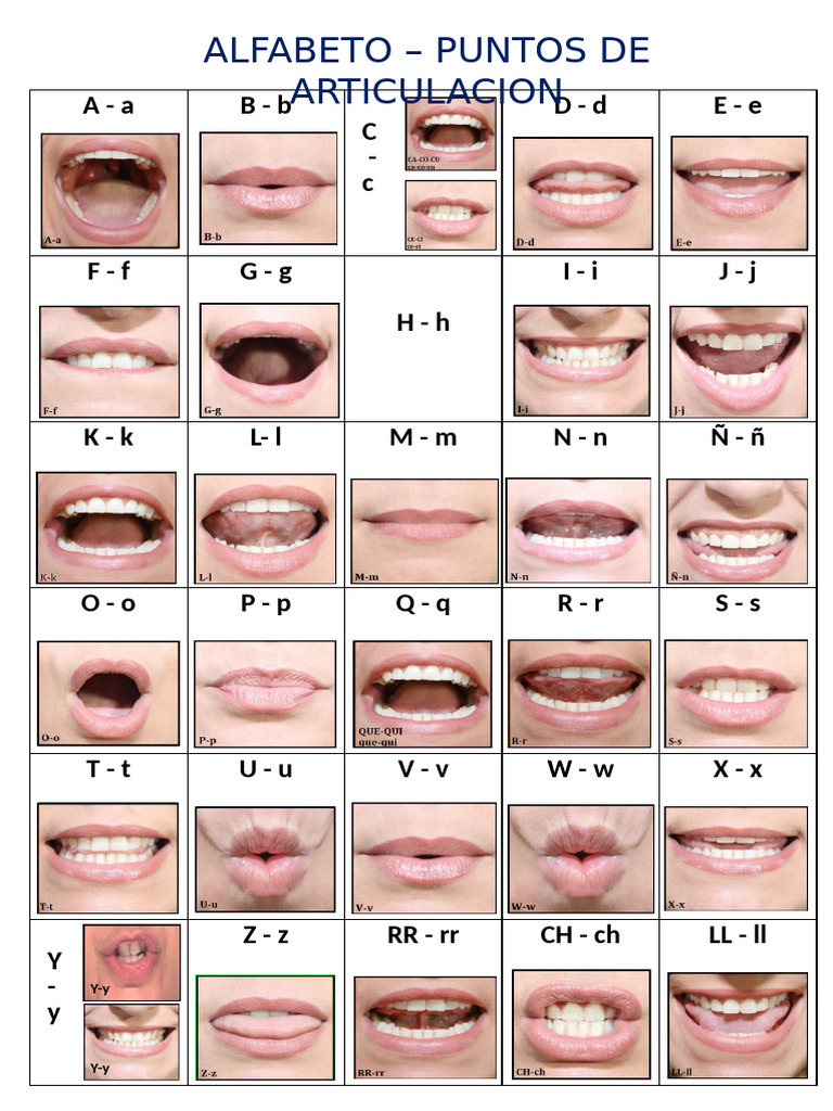 Abecedario con Puntos de Articulación | PDF