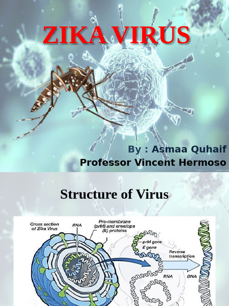 Zikavirus 181027160955 | PDF | Zika Fever | Zika Virus