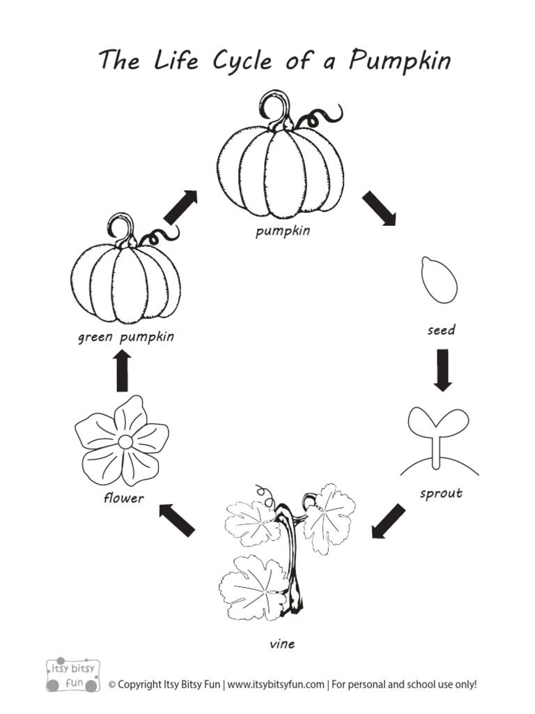 Ilovepdf - Merged Ilovepdf Compressed | PDF