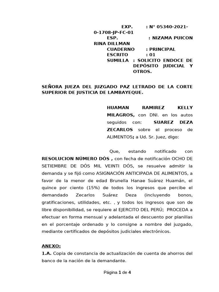 Solicita | PDF | Judicaturas | Justicia