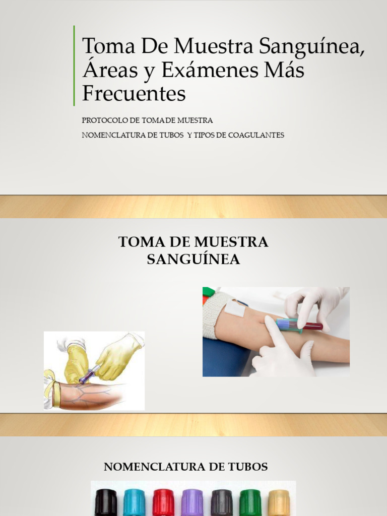 Protocolo de Toma de Muestra Sanguínea | PDF | Sangre | Hematología