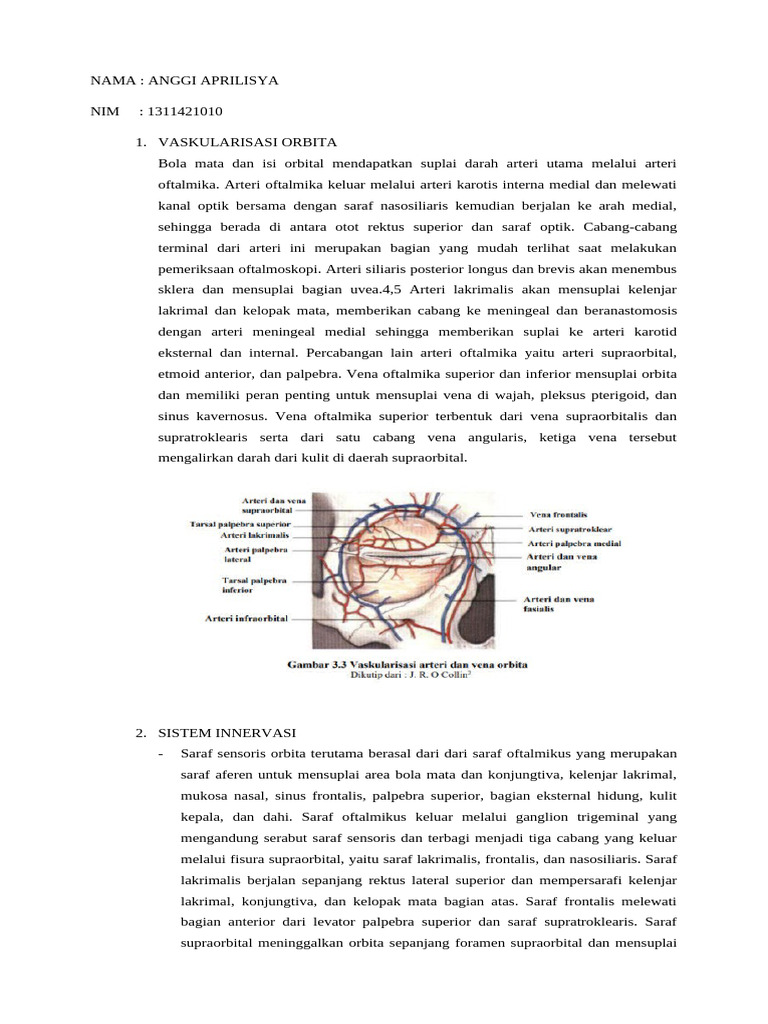 10 - Tugas Sistem Indera Organ Visual | PDF