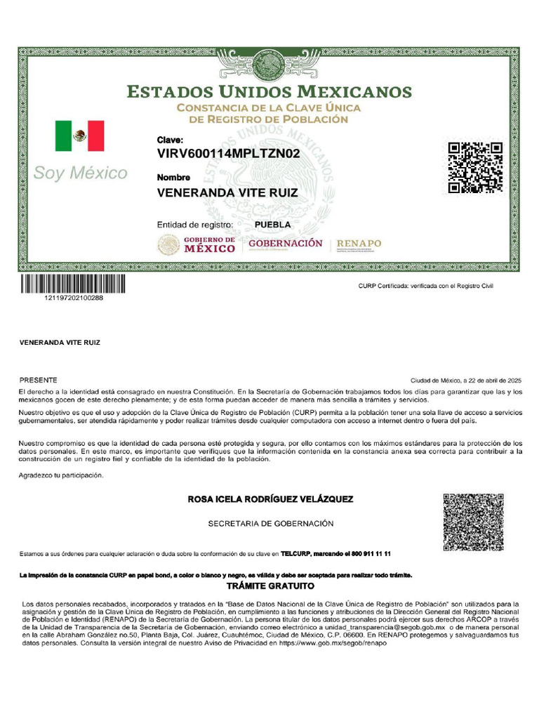 Curp | PDF