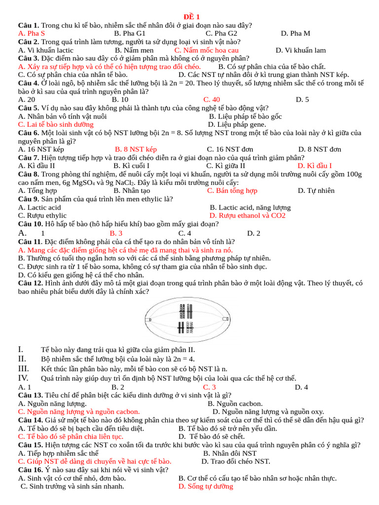 Ktra Sinh 10 - GK2 - GV | PDF
