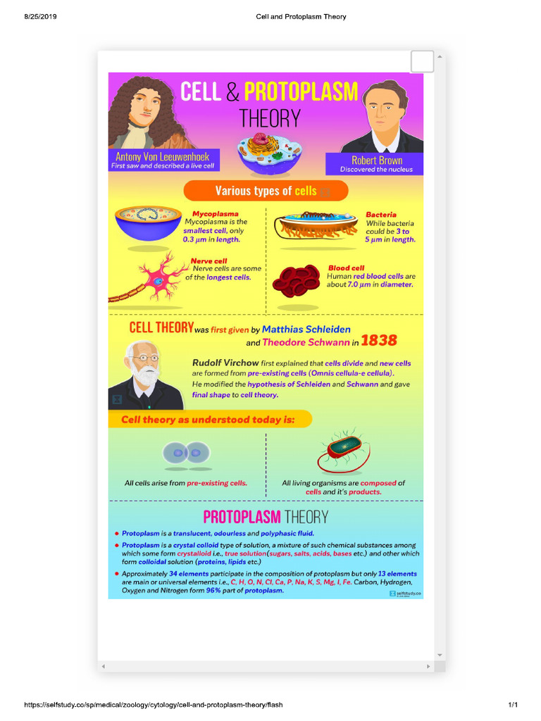 Cell and Protoplasm Theory | PDF