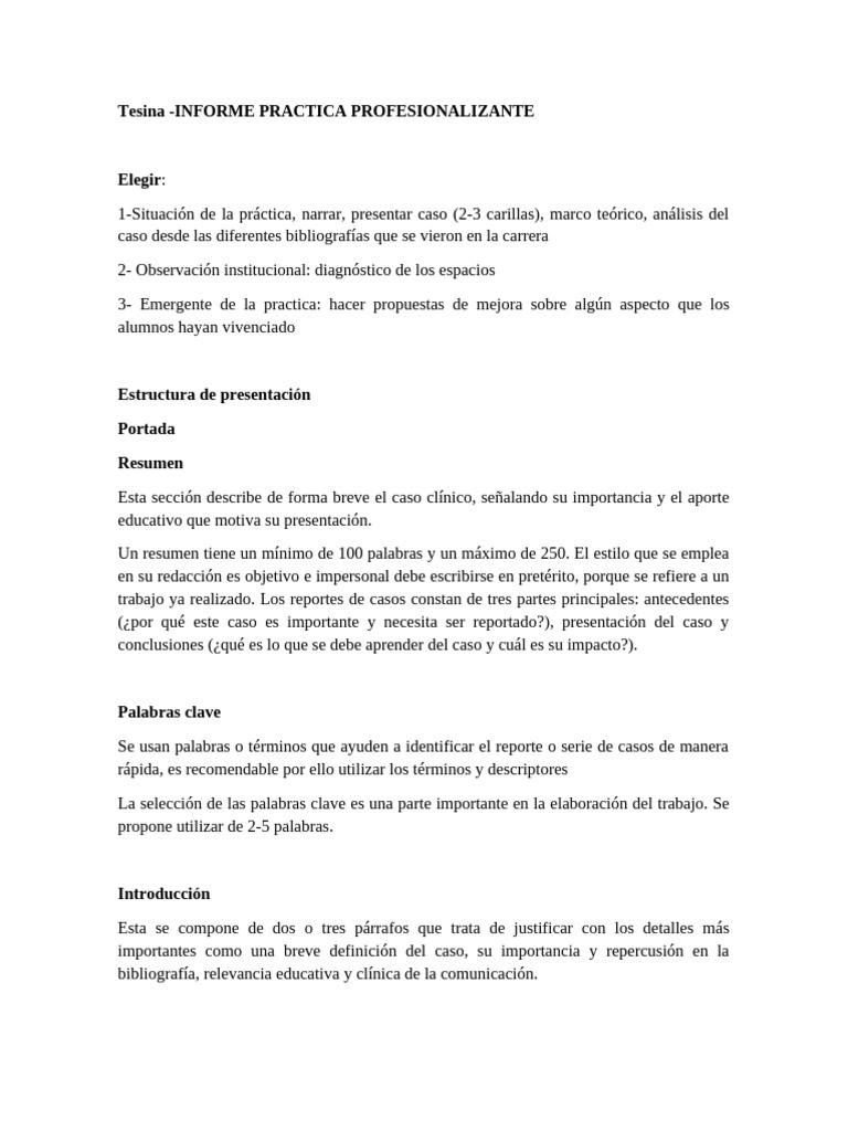 FORMATO IPP Pautas para Elaboracion | PDF
