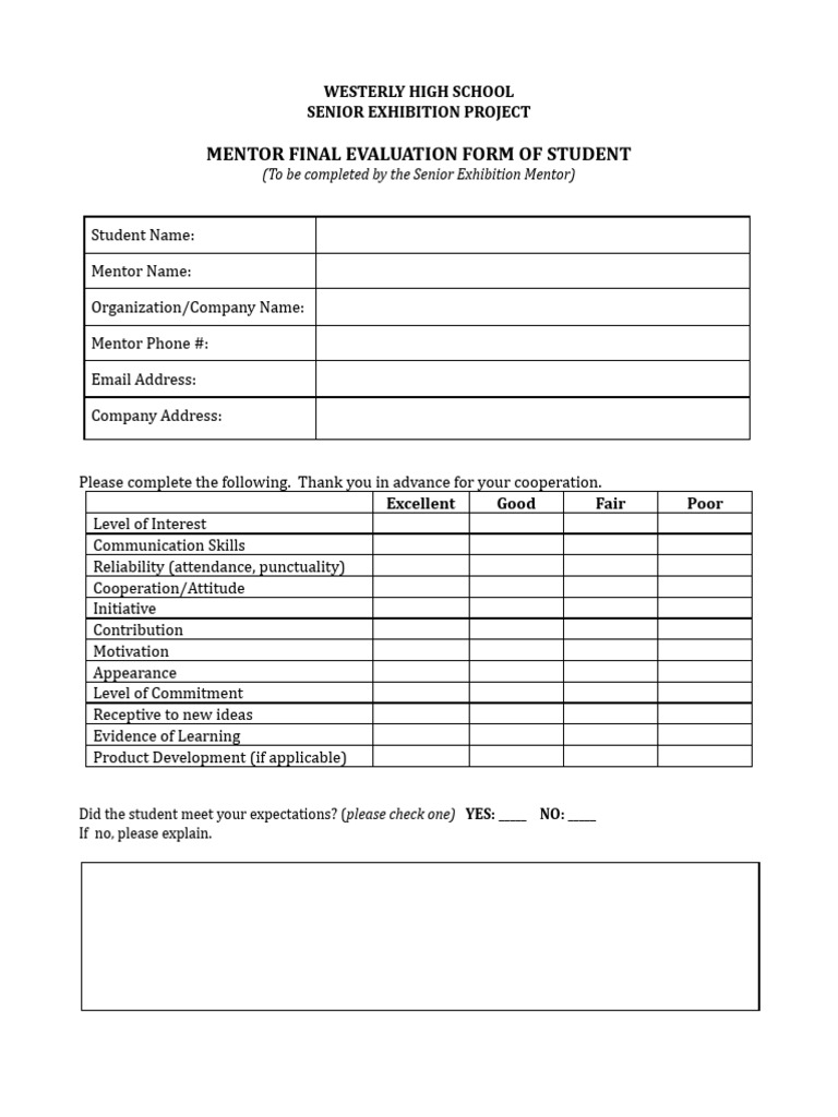 Mentor Final Evaluation | PDF