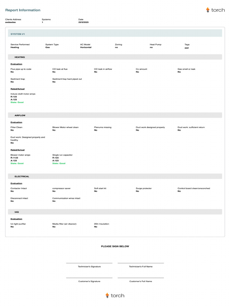 Torch Report 2025 03 25 | PDF