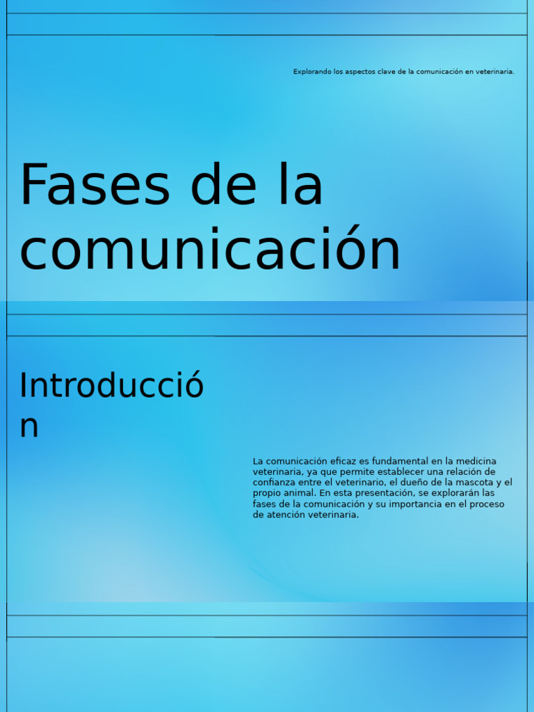 Fases de La Comunicación | PDF | Comunicación | Empatía
