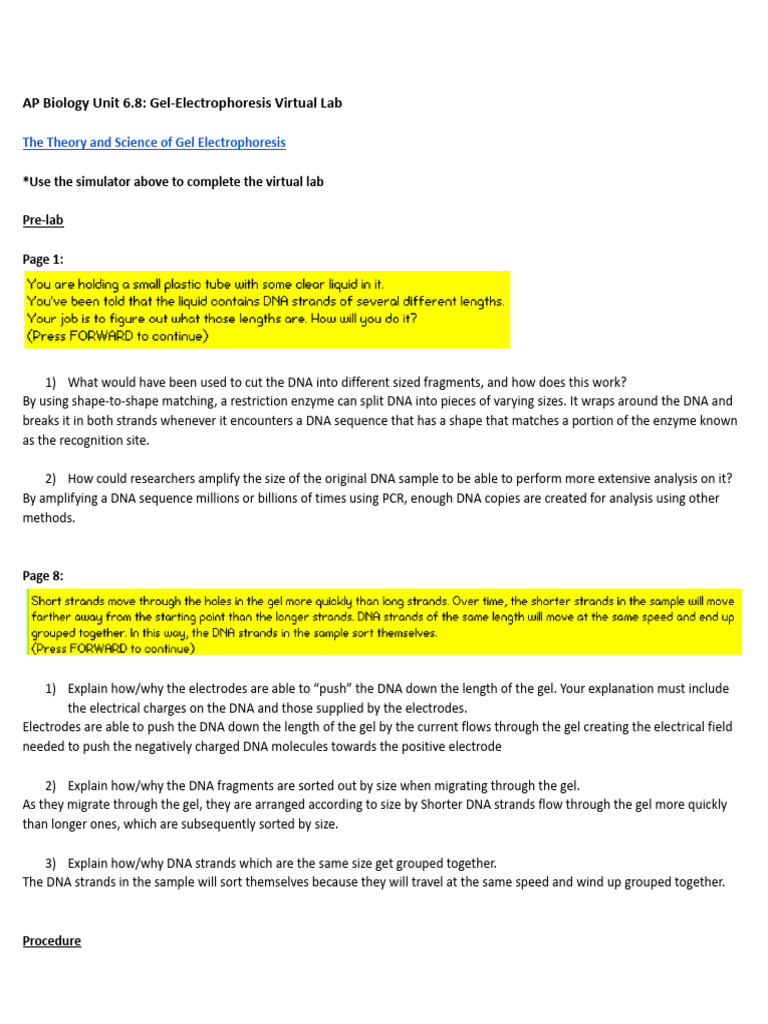 Aaron Braamse - (Template) Copy of AP Biology Unit 6.8 - Gel ...