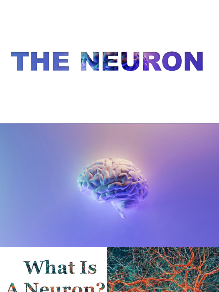 Science (Nueron Anatomy) | PDF