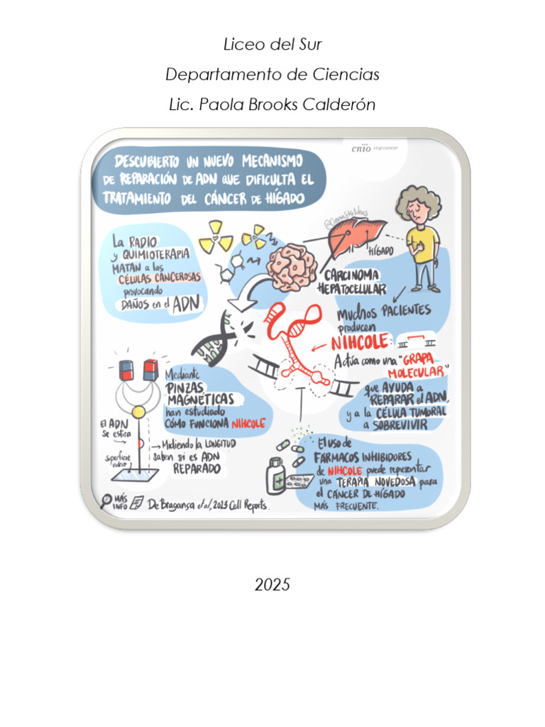 Antologia 1 Octavo Celula Octavo 2025 | PDF | Mitosis | Citoplasma