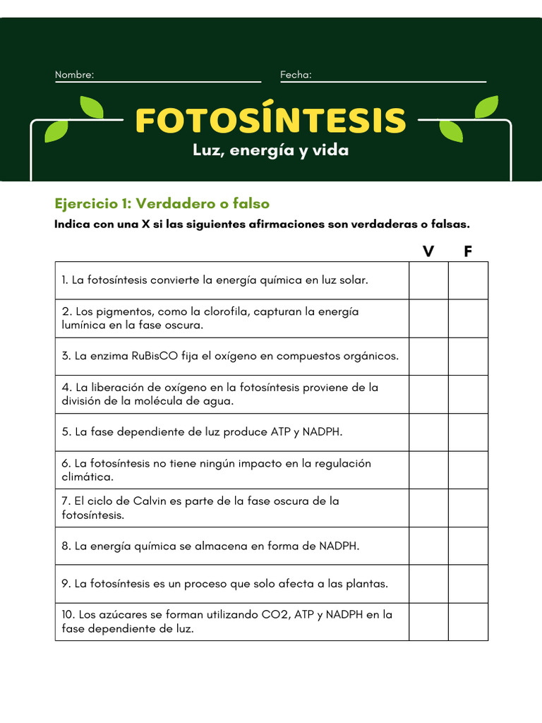 Photosynthesis Student Worksheet Part 2 Spanish | PDF