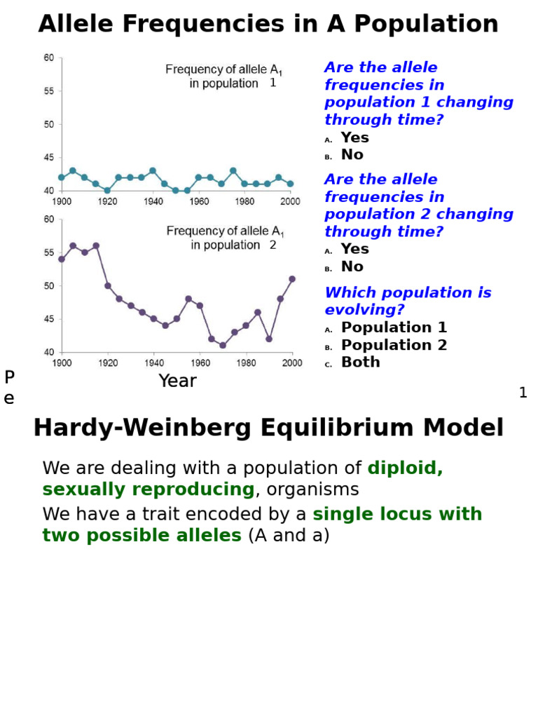 Lecture 4.3 & 4.4 Hardy Weinberg Equilibrium | PDF | Evolution | Genetics