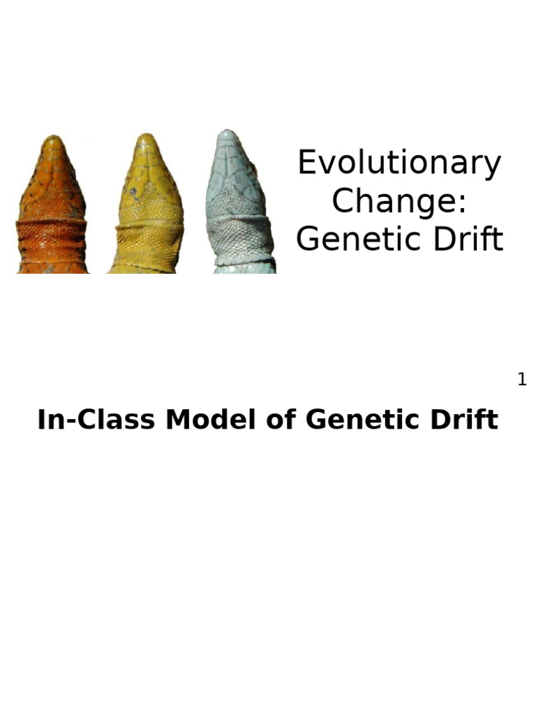 Lecture 4.5 Genetic Drift | PDF