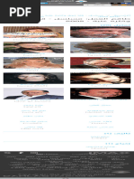 - مشاهده وتحميل فيلم the Beekeeper مجانا فشار Fushaar | PDF