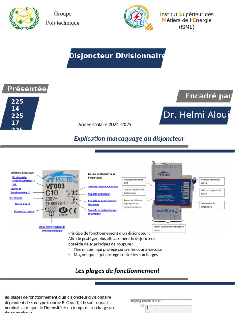 Disjoncteur Divisionnaire : Fonctionnement et Types | PDF