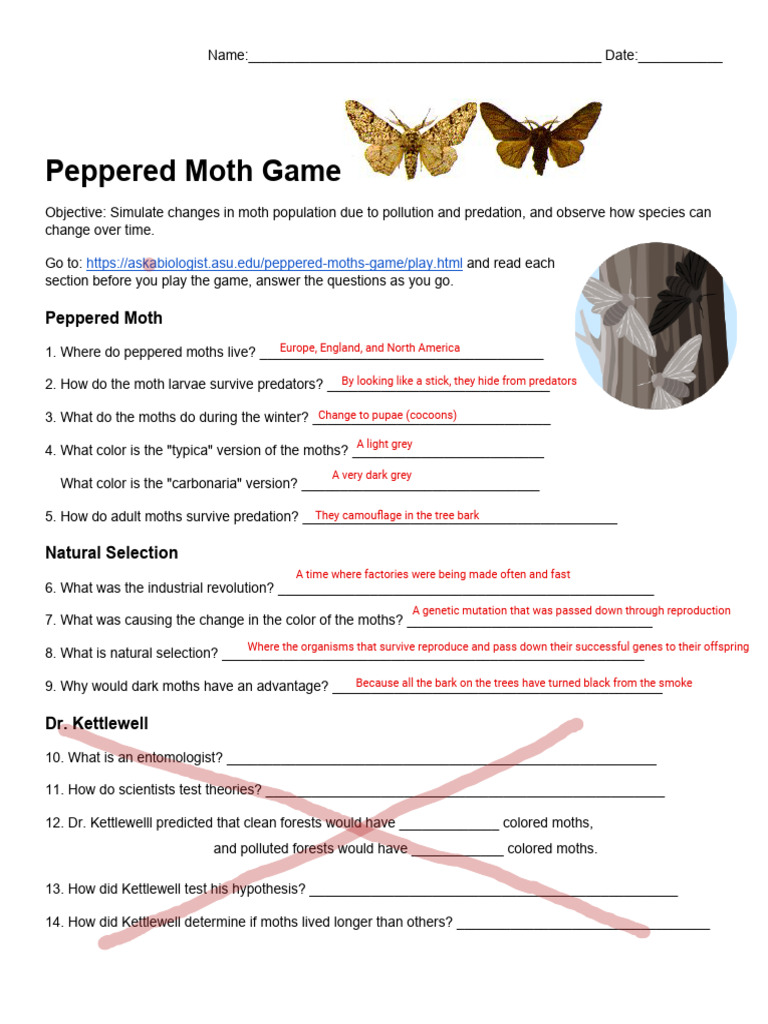 Peppered Moth Game - Bloodworth | PDF | Evolutionary Biology | Biology
