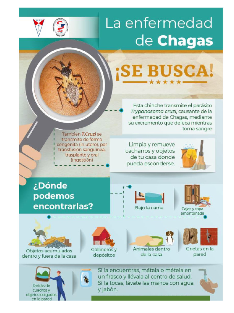 Chagas Afiche | PDF