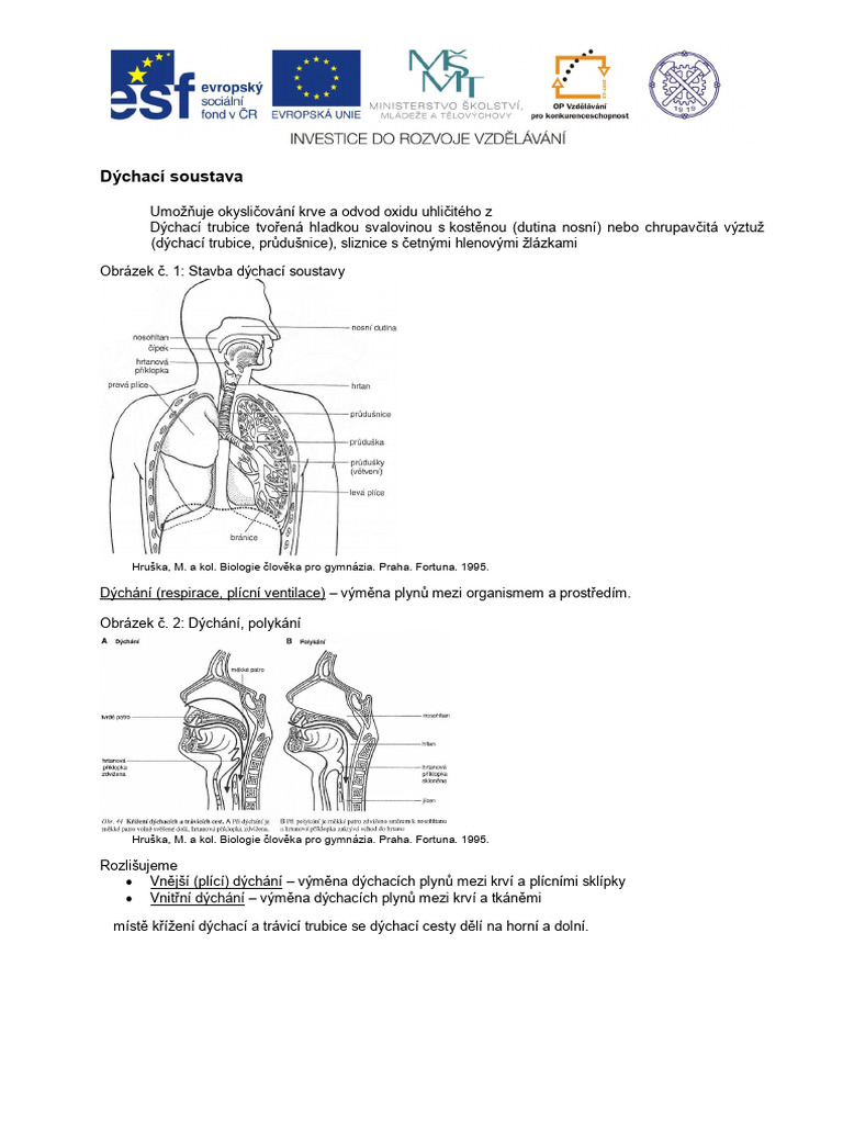 Bio_1_biologie_cloveka-dychaci_soustava_PRE | PDF