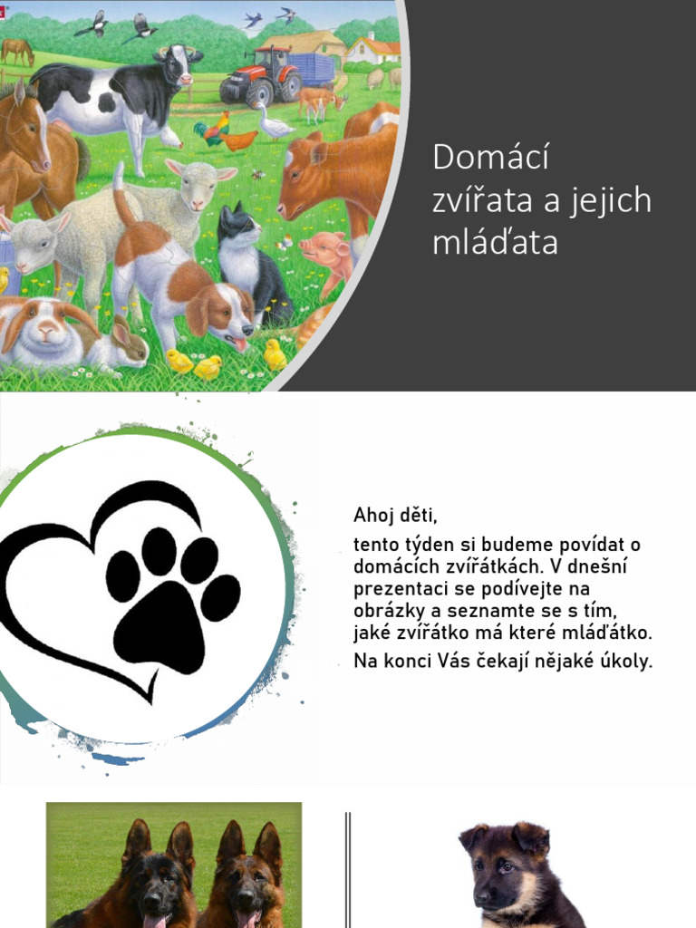 Domácí Zvířata A Jejich Mláďata | PDF