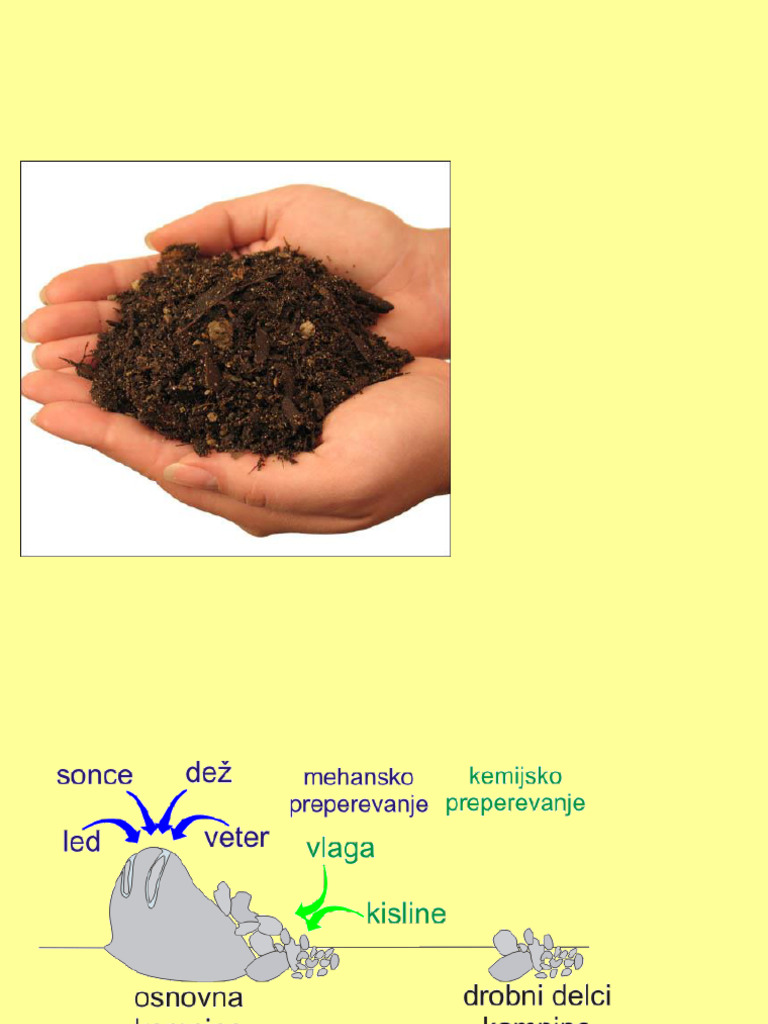 NIT PRST Projekcija | PDF