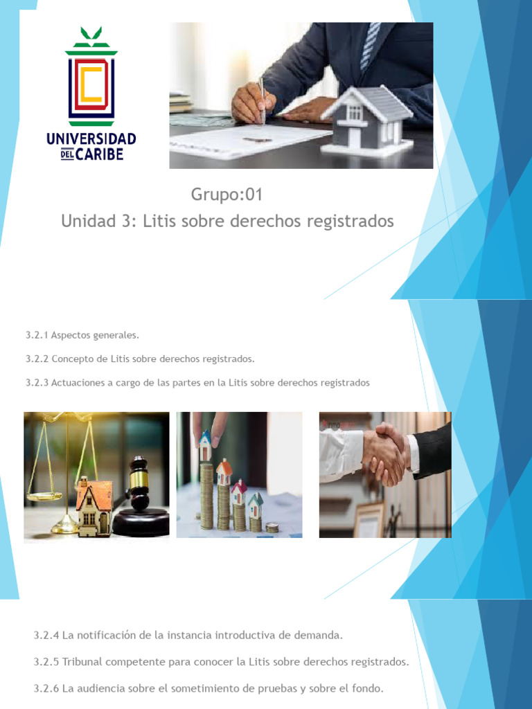 Litis Unidad 3 | PDF
