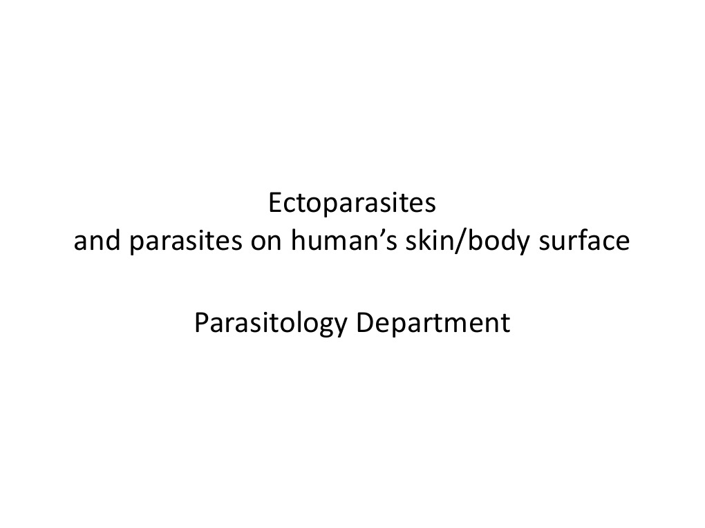 Ectoparasites and Parasites On Human's Skin/body Surface Parasitology ...