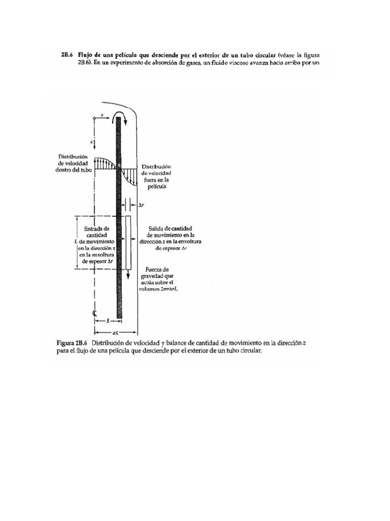Guía Feno A | PDF