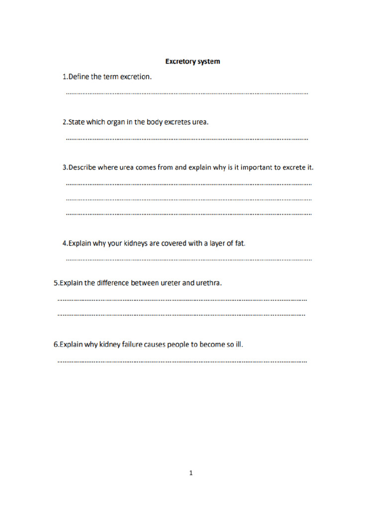 Excretory System classifiedAtG2c | PDF