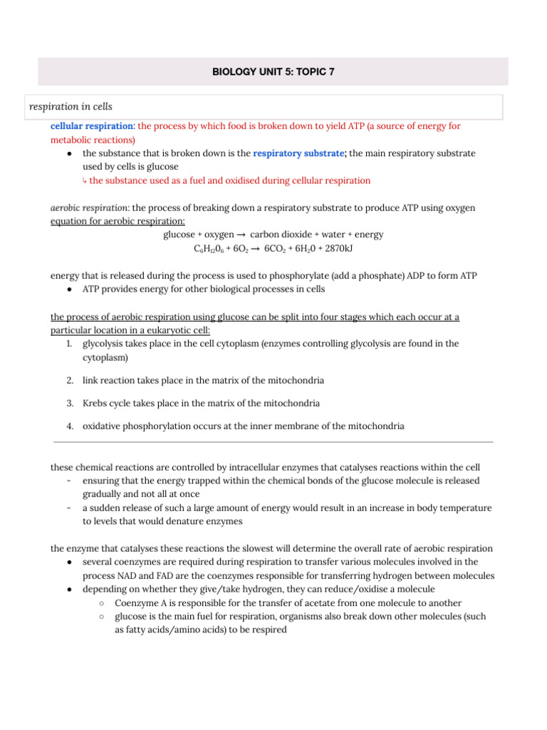 Cellular Respiration and ATP Production | PDF | Cellular Respiration ...