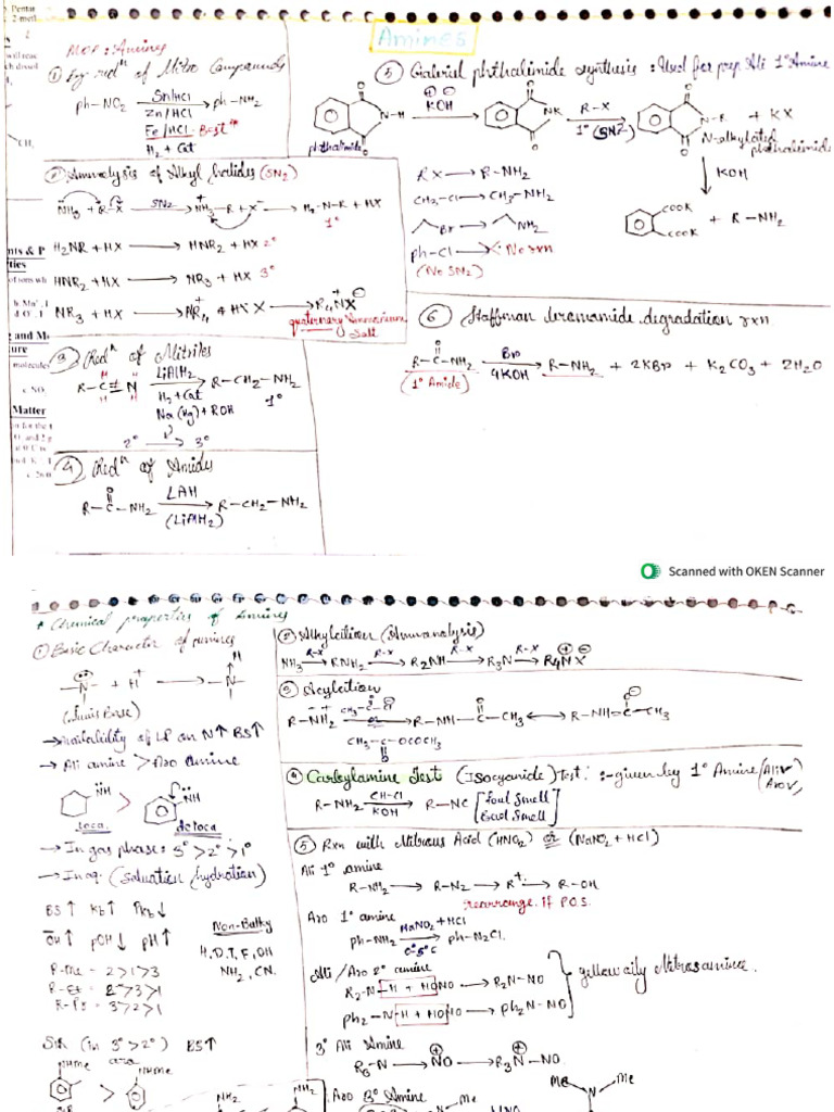 The Mindmap of Amines Neet | PDF