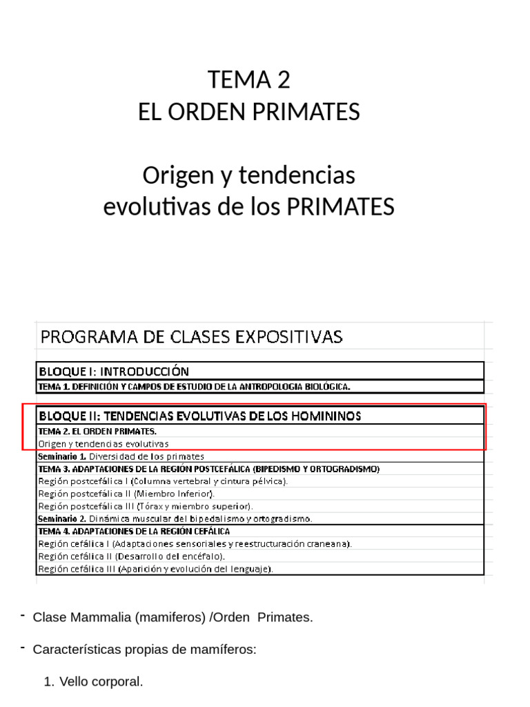 Origen y Evolución de los Primates | PDF