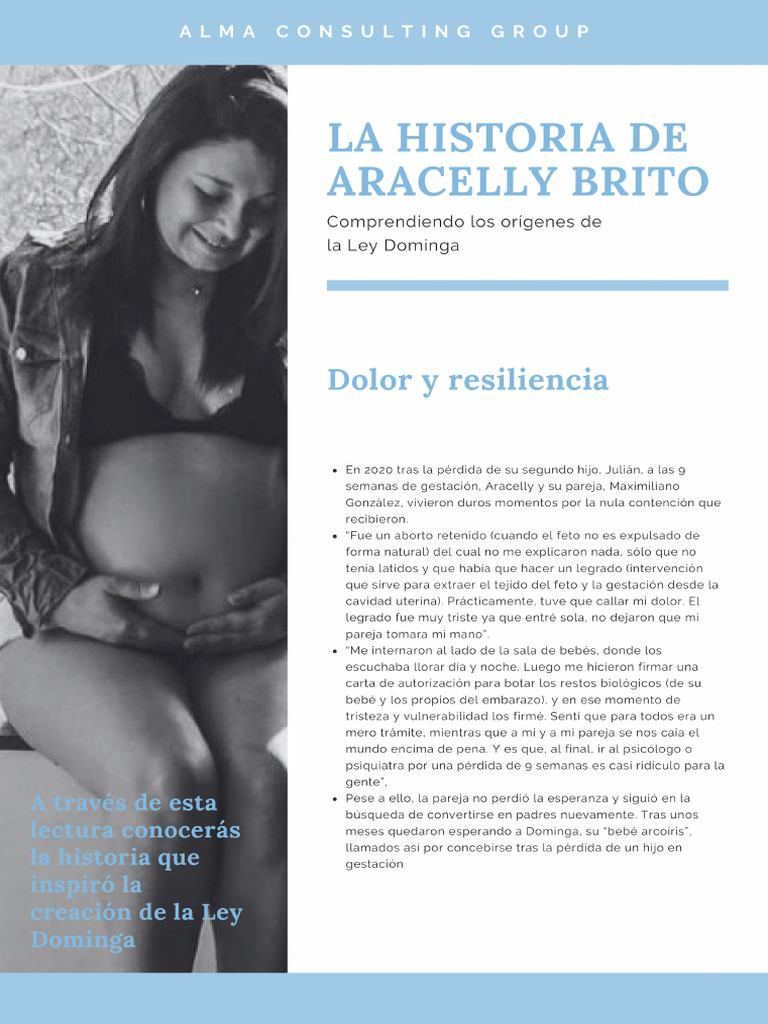 Aracelly Brito y La Ley Dominga - Alma Consulting Group | PDF